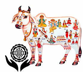 Kamadhenu : Mythologie et Symbolisme de la Vache Sacrée Indienne